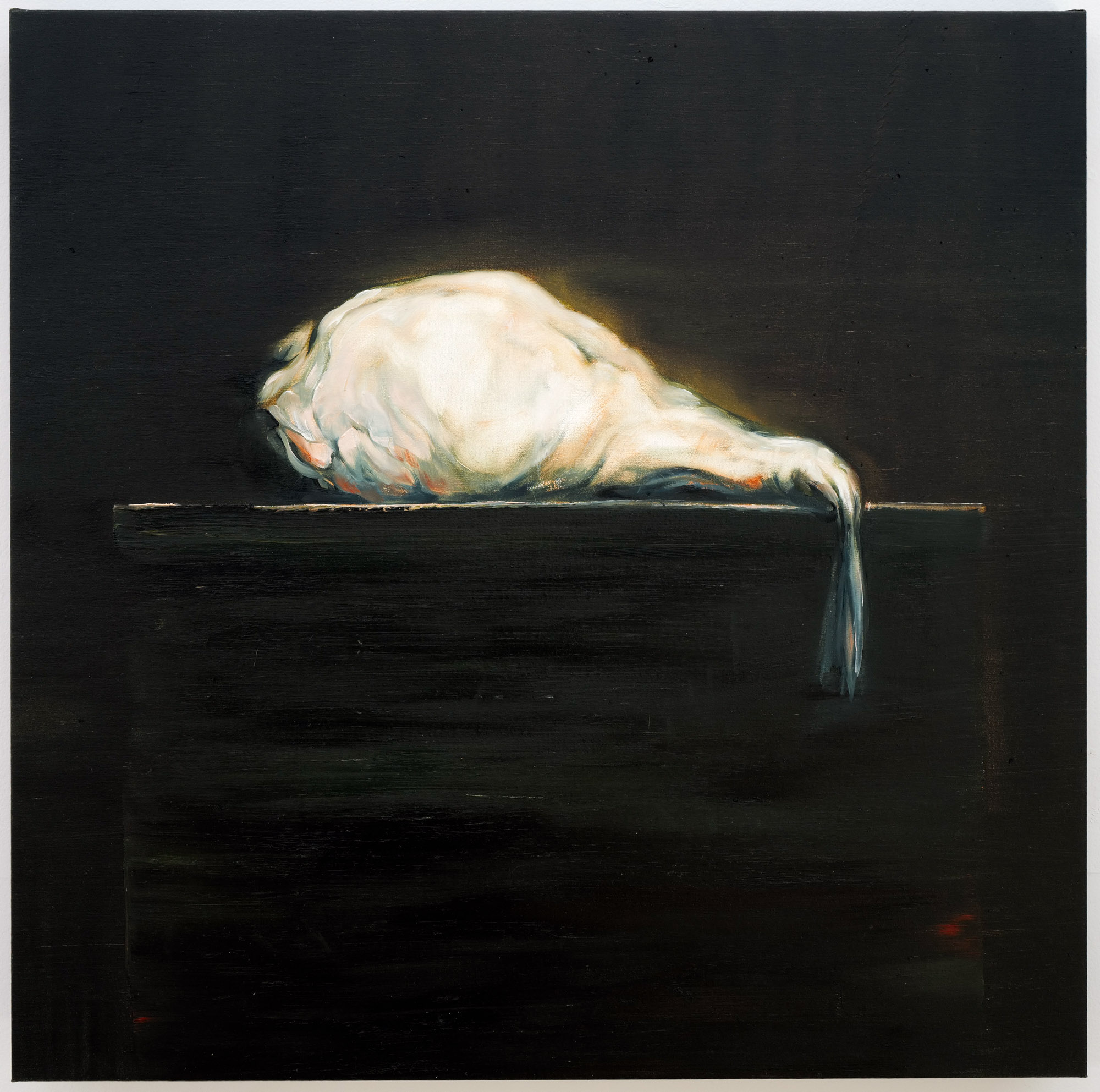 Daniël Bellon - Transit